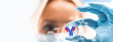 Abclonal Rabbit Antibody Expert