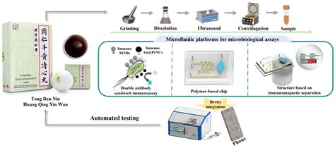 A Microfluidic Biosensor For Quantitative Detection Of Salmonella In Traditional Chinese Medicine