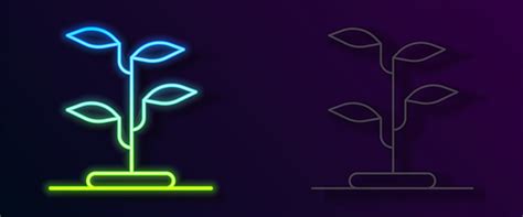 검은 색 배경에 고립 된 빛나는 네온 라인 새싹 아이콘 종묘와 묘목 나뭇잎 기호 잎 자연 벡터 0명에 대한 스톡 벡터 아트 및 기타 이미지 Istock