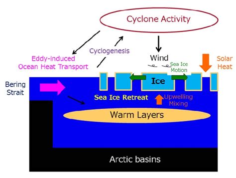 Schematic Image Of Sea Ice Variations Sea Ice Forms From Sea Water Download Scientific Diagram