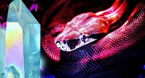 Crystal Vs Python Boost Your App S Speed With Crystal Programming Language