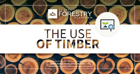 The Importance Of Forestry Geospatial Forestry Platform