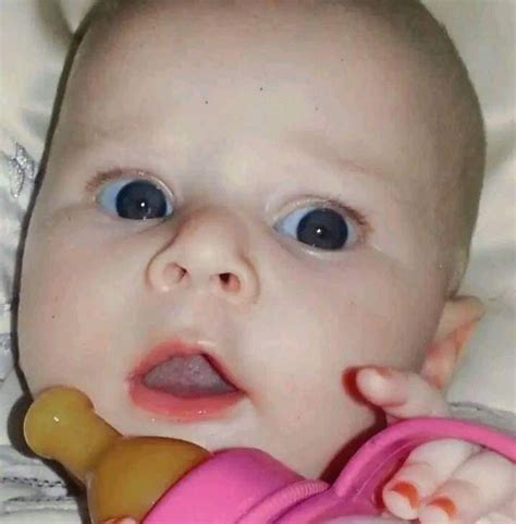 تبادل الافكار حول تربية الابناء