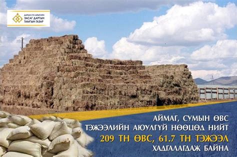 Аймаг сумын өвс тэжээлийн аюулгүй нөөцөд нийт 209 тн өвс 617 тн