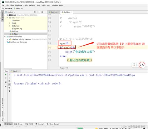 Python的基础语句 判断语句、循环语句判断是否成年的python Csdn博客