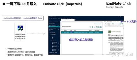 endnote 20 教程 知乎