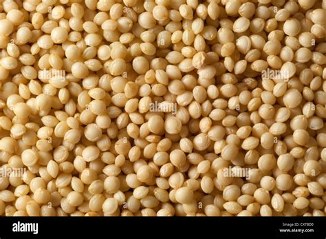 Grain Amaranth Varieties At Roy Chowdhury Blog
