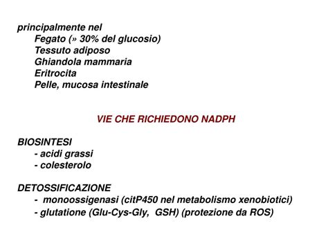 Ppt Via Dei Pentosi Fosfato Piruvato Deidrogenasi Powerpoint