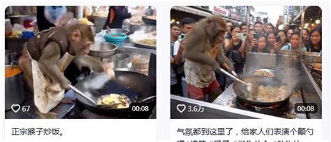RuntimeError use libuv was requested but PyTorch was build without libuv support 诺瓦小站