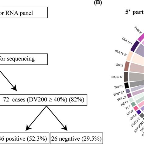 Clinical Validation Of The RNA Panel A Quality Control Summary Of Download Scientific