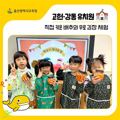 울산광역시교육청 학교소식 🏫공립유치원 유아들 직접 키운 배추와 무로 김장 체험 🌱고헌유치원과