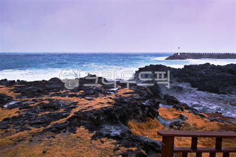 바다 갈대 해안암석 제주도 등대 사진이미지일러스트캘리그라피 Dgna작가