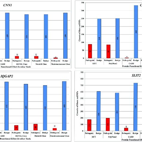 Downstream Functional Effect Prediction Of Pathogenic Snps Based On Download Scientific Diagram