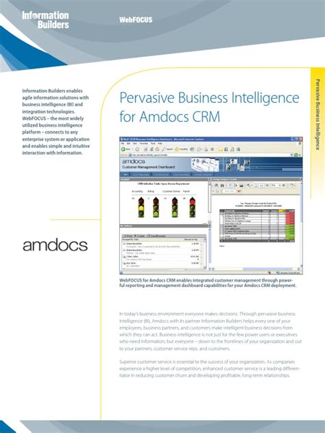 Amdocs Fs Pdf Customer Relationship Management Business Intelligence