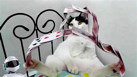 10 самых БЕЗУМНЫХ и НЕВЕРОЯТНЫХ рекордов ГИННЕСА часть 3 Youtube