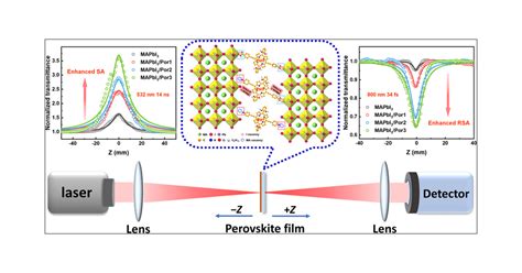 Donorπacceptor Porphyrin Assisted Bifunctional Defect Passivation For