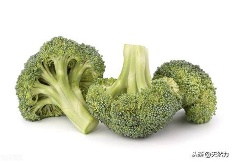 西兰花煮多久熟掌握好时间才不会流失营养方法和时间全分享 小朵 食用 高上
