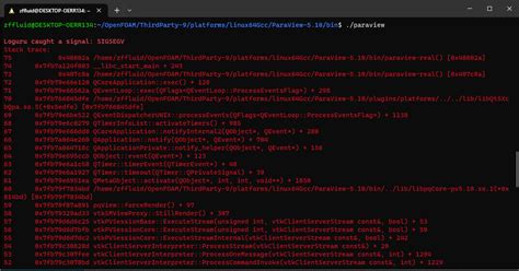 使用paraview时出现segmentation fault错误