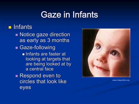 Ppt Attention And Perception Of Attentive Behaviours For Emotive Interaction Powerpoint