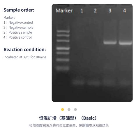 It Is Suitable For Pathogenic Microbial Detection In Community