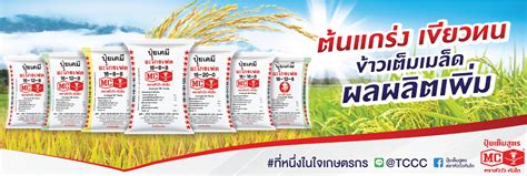 พืชผักสวนครัว เกษตรท่าเขมราฐทำไมถูกปิดตามาดู Facebook