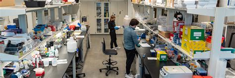 Cell Molecular And Developmental Biology American University Washington Dc