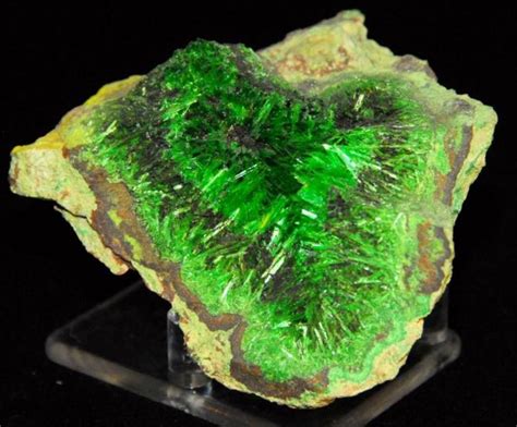 Uranium Facts Symbol Discovery Properties Uses