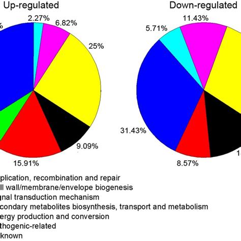 Functional Categories Of Genes Exhibiting Altered Transcription In The