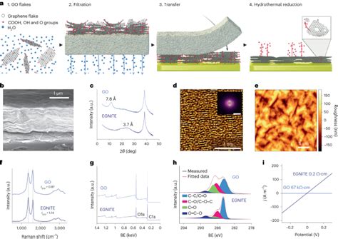 Nanoporous Graphene Based Thin Film Microelectrodes For In Vivo High Resolution Neural Recording