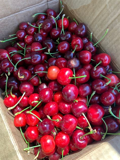 Fields Of Grace Fields Of Grace Added A New Photo