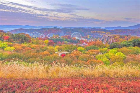 50년 만에 비밀 명소 공개하더니… 가을 단풍 행사로 화제인 수도권 여행지