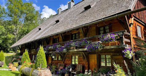 7 Best Native Plants To Mix With Lawn Grass That Transform Your Yard