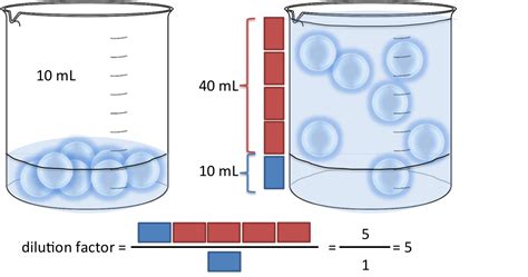 Using The Dilution Factor To Calculate Dilutions • Hemocytometer