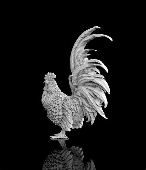 3d Cock Turbosquid 1472637
