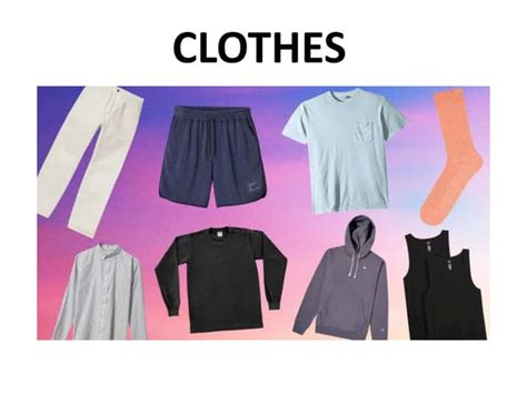 Animals Classification Pptx