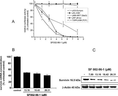Effect Of Sf002 96 1 On Survivin Promoter Activity Survivin Mrna