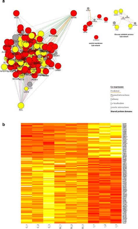 A Cytoscape Network Proteomic Data Were Mapped On Protein Protein Download Scientific Diagram