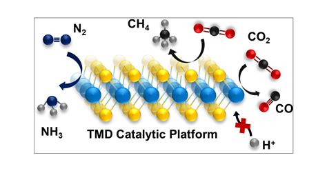 Dani RodrÍguez Panini Mosaic 10 Gold