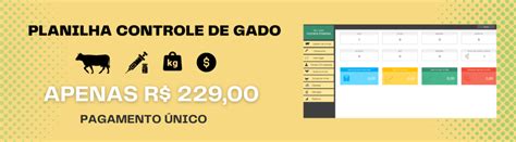 Como Realizar A Seleção De Matrizes Bovinas Tecbov