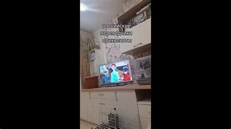 «Сестра Так локализаторы «Леди баг обыграли поцелуй двух девушек в одной из серий