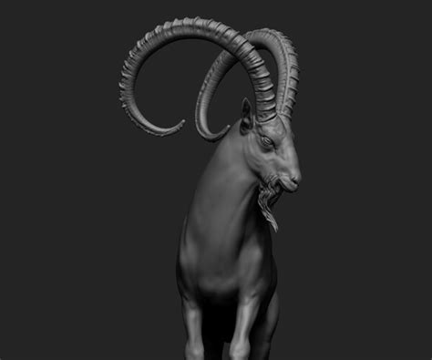 Artstation Ibex Resources