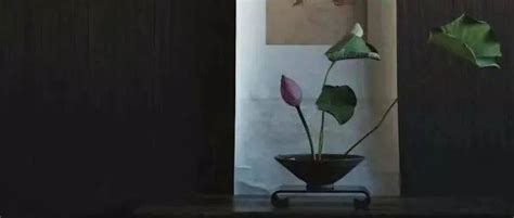 漱洗尘心移情于物 生命 怀清净 先人
