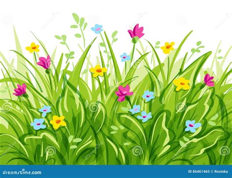 Vector Grass With Wild Flowers Stock Vector Illustration Of Flora