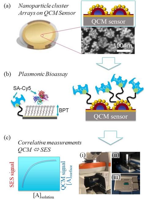 1 A Plasmonic Arrays Composed Of Gold Nanoparticle Cluster Arrays Download Scientific