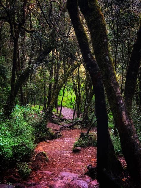 Codimite On Linkedin Annualtrip2024 Codimitetrip Annualtrip Codimiteofficetrip