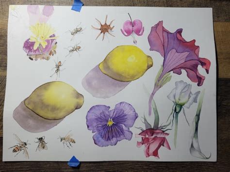 my recent tutorials practice sheet r watercolor