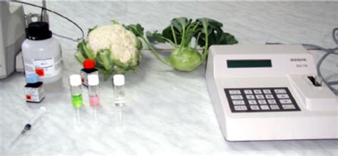 Nitrate And Nitrite Determination Using Aqua Merck Rapid Tests To Download Scientific Diagram