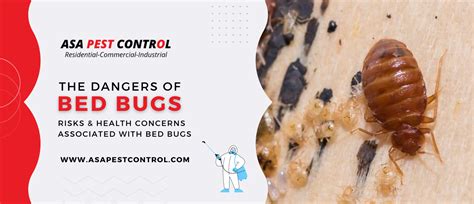 What Are The Effects Of Bed Bugs At Gabrielle Miller Blog
