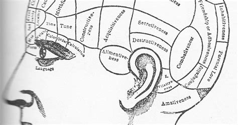 Scientists Argue We Should Reconsider Our Quest To Map The Brain