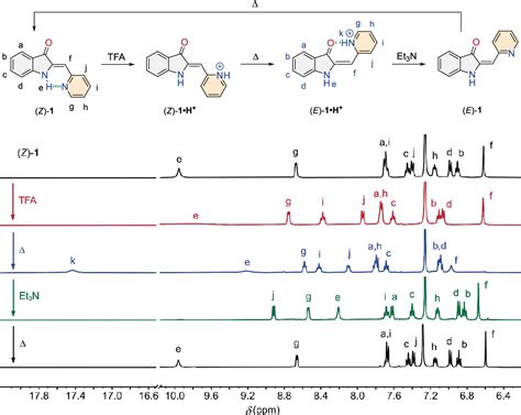 Figure 3 From Monodirectional Photocycle Drives Proton Translocation Semantic Scholar